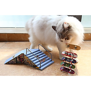 BISOZER Finger Skateboard Display Rack, Pro Finger Board Racks Floor Stand, Five-Layer Angle Skateboard Holder, Mini Skateboard Storage Racks, Skateboard Decorative Stand, Robust and Easy to Install