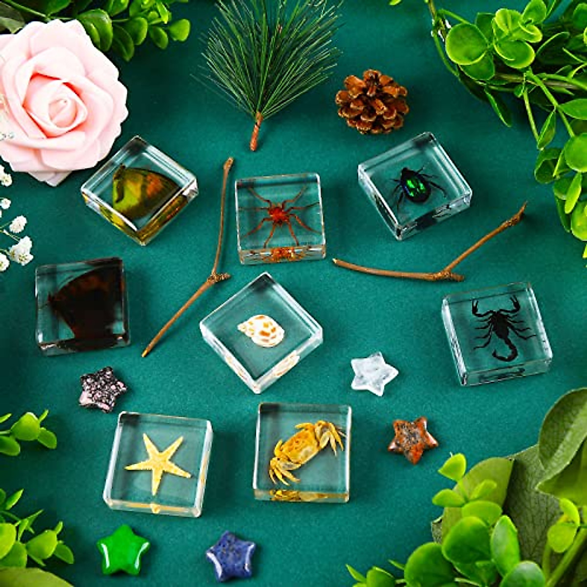 8 Pcs Insects in Resin Specimen Bug Collection Paperweights Bug Toys Preserved in Resin Specimen Bug Kit Specimen Sea Life Insect Toys Real Bug Specimen Bug Scientific Educational Toy, 8 Styles