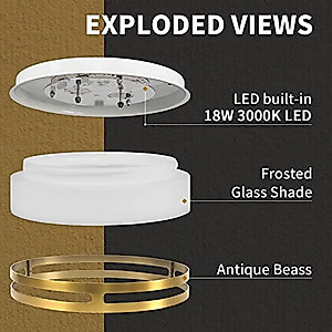 AUTELO Modern Flush Mount LED Ceiling Light Fixture 3000K Dimmable Close to Ceiling Lighting with Frosted Glass Shade in Brass Finish, for Living Room Hallway Bedroom C3578 BRZ LED