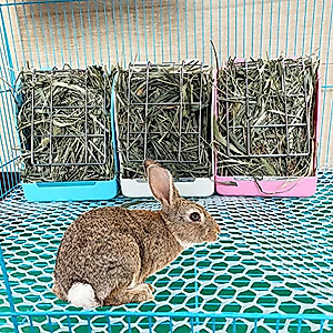 WEWAYKGJ Rabbits Hay Feeder Guinea Pigs Hay Rack Bunny Feeding Holder Hanging Chinchillas Hay Dispenser Minimize Waste Mess Hay Rack for Small Animals 2 Pcs (Pink)