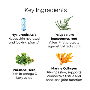 Hush & Hush TimeCapsule Multivitamin, Women's Multivitamin, Men's Multivitamin, Clean Nutraceuticals Supplements That Contains Hyaluronic Acid, Vitamin C, Zinc, Vitamin B12, Vitamin E - 60 Tablets