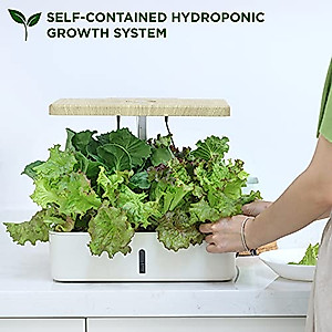 Ivation 12-Pod Indoor Hydroponics Growing System Kit with LED Grow Light, Herb Garden Planter for Herbs, Vegetables, Plants Flowers and Fruit