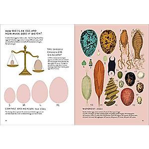 Chickenology: The Ultimate Encyclopedia (The Farm Animal Series)