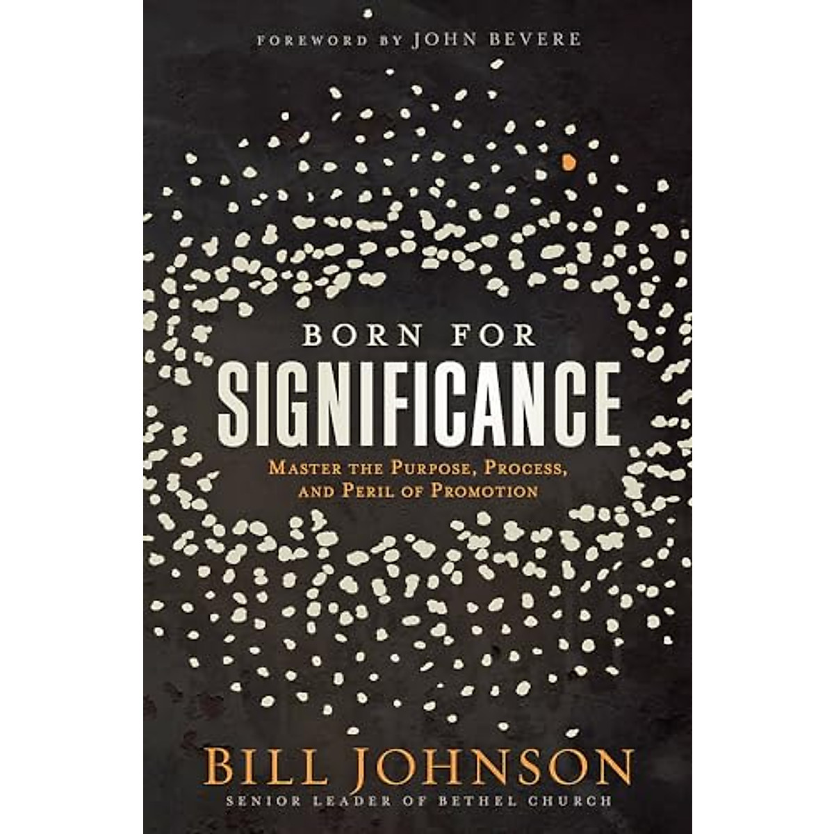 Born for Significance: Master the Purpose, Process, and Peril of Promotion