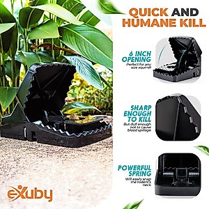 Squirrel Trap (2 Pack) - Consistent & Humane Kill Every Time with no Failures - Powerful Spring - 5" Large Opening - 96% Instant Kill - for Attic, Garden, Forest & More - Reusable - Easy Setup
