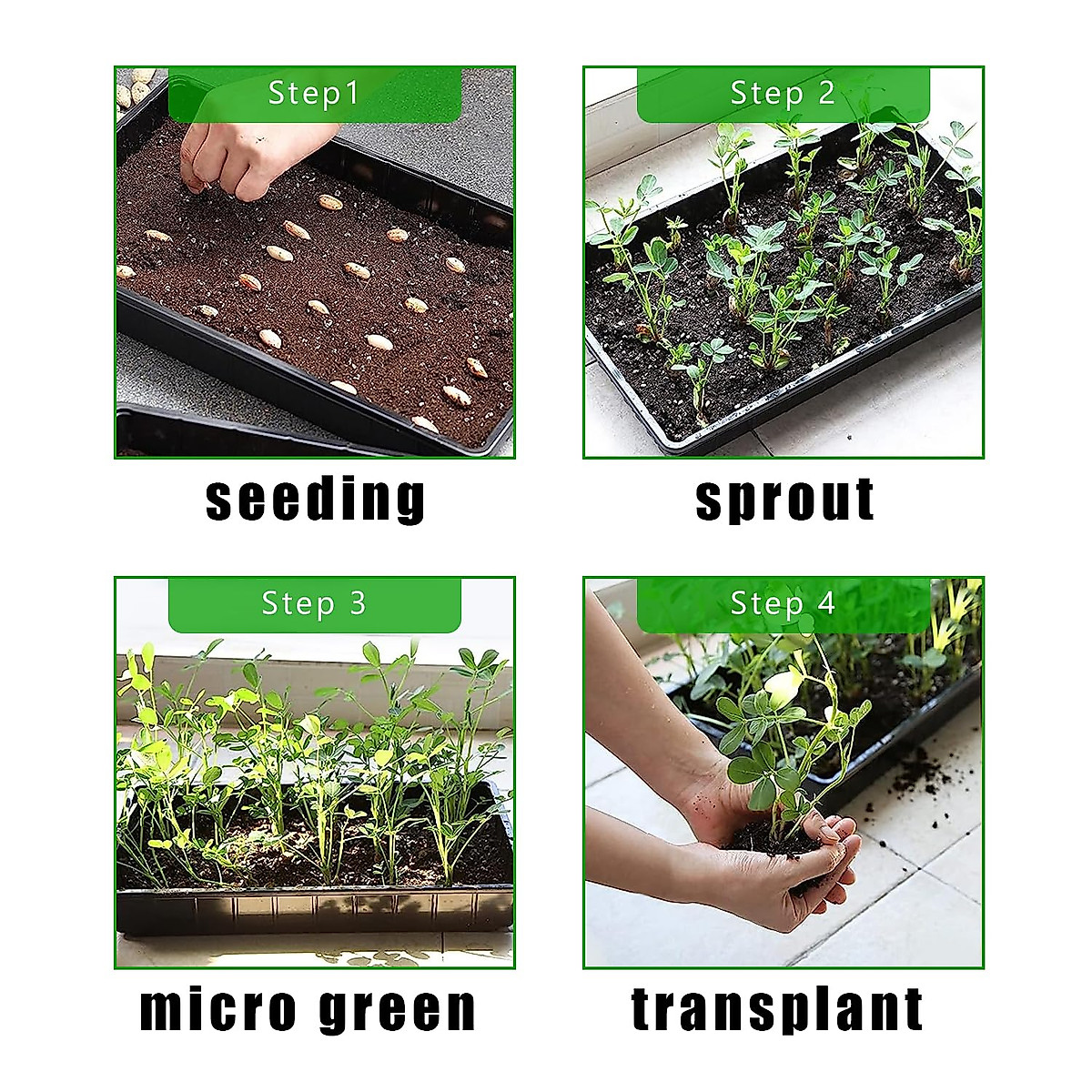 RooTrimmer Plant Growing Nursery, Standard 1020 Trays Plastic Sturdy Farmer Self Seedling Tray for Microgreens Indoor Nursery Pots Transplantation (5-Pack, 21.6"×11.2", 2.52" Deep, no Holes)