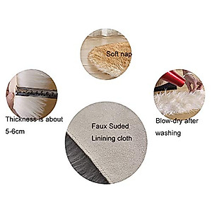 Qushy Deluxe Soft Fuzzy Fur Rugs Faux Sheepskin Shaggy Area Rugs Fluffy Carpet for Living Room Bedroom Sofa Mat(2 x 3ft,Coffee)