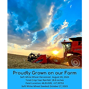 Certified Glyphosate Residue Free Soft White Wheat Berries | 100 LBS | Desiccant Free | Sproutable | Non-GMO Project Verified | Kosher