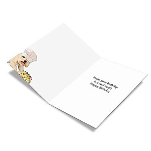 NobleWorks - 1 Cute Birthday Card with Envelope - Funny Wild Animals and Pets, Birthday Greeting - Dog Chef C3200BDG