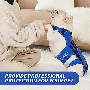 Uzhika Dog Back Brace for IVDD Dogs Arthritis, Spinal Injury, Back Protector Pain Relief, Spinal Surgical Recovery and Rehabilitation - Pet Back Bracer (Large)