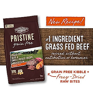 Castor & Pollux Pristine Grain Free Dry Dog Food Grass-Fed Beef & Sweet Potato Recipe with Raw Bites - 4 lb Bag