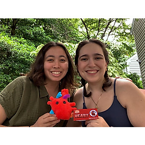 GIANTmicrobes Heart Plush, Heart Stuffed Animal, Heart Transplant Gifts, Heart Toy, Anatomical Heart Gifts, Cardiologist Gifts, Cardiology Gifts, Open Heart Surgery Gifts, Heart Attack Survivor Gifts