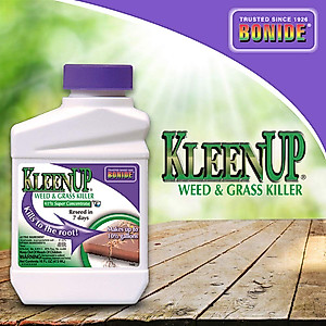 Bonide 7460 Weed Killer, 16-Ounce
