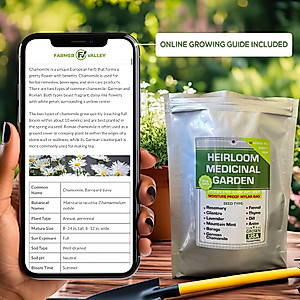 10 Medicinal Herb Seeds - Heirloom, Non GMO, USA Made - 2050 Most Needed Herbal and Medical Tea Seeds Pack for Planting Indoors and Outdoors - Lavender, Mountain Mint, Chamomile & More