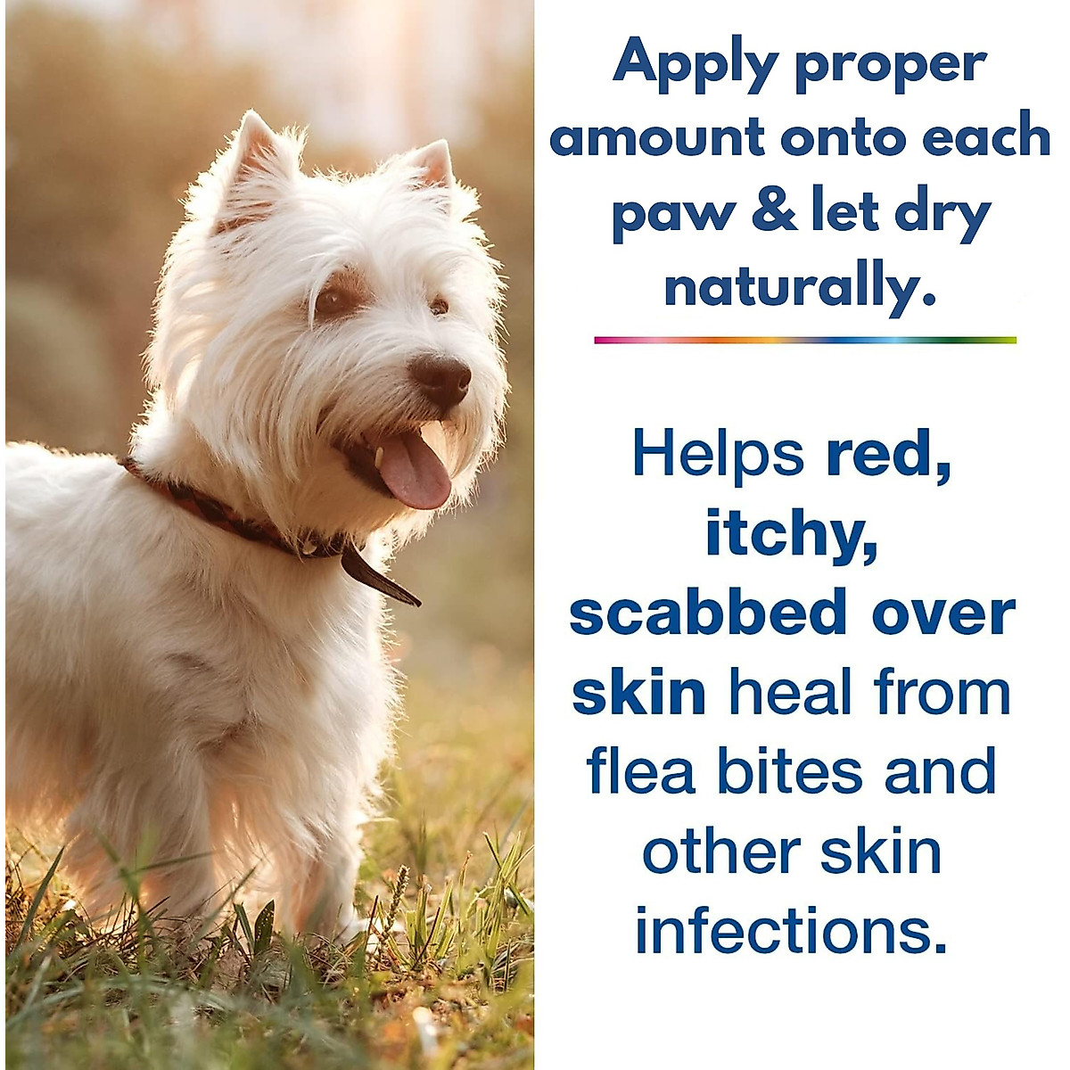 Baaww Paw Gel for Itch Relief | Hot Spot Treatment for Dogs & Cats | Dog Wound Care | Skin Yeast Infections, Ringworm, Cuts, Rashes (40 ML)