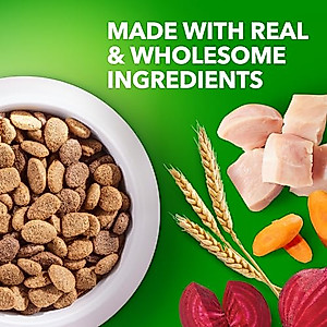 IAMS Proactive Health Healthy Weight Control Large Breed Adult Dry Dog Food with Real Chicken, 29.1 lb. Bag