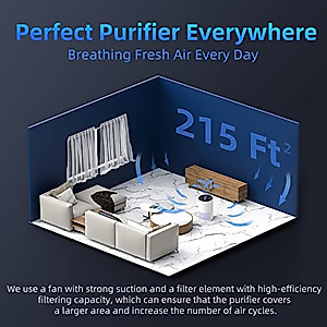 AROEVE Air Purifiers(White) for Home with Two H13 HEPA Air Filter-Pet Dander Version(One Basic Version & One Basic Version) For Smoke Pollen Dander Hair Smell In Bedroom Office Living Room and Kitchen