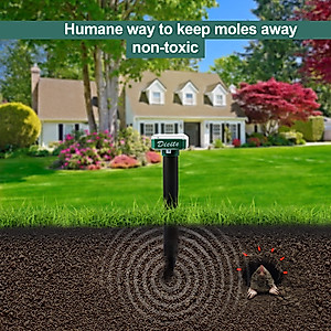 Solar Mole Repellent, 10 Pack Ultrasonic Mole Repellent Solar Powered, Waterproof Vole Gopher Repellent for Garden & Yard (Green)