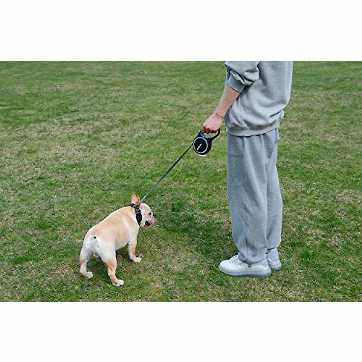 PINA Retractable Dog Leash, 26ft Dog Leash for Small Medium Large Dogs Up to 110lbs, 360° Tangle-Free Reflective Nylon Tape, with Anti-Slip Handle, One-Handed Brake, Pause, Lock - Black & Blue /2PACK