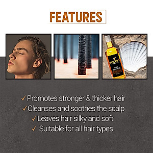 Woody's Men's Daily Shampoo, All-Natural Nourishing Hair Cleanser with Vitamin B5, E, Aloe Vera & Ginger, for All Hair Types - 32 fl oz