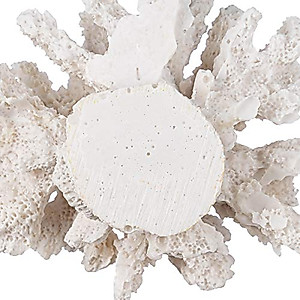 Nautical Crush Trading Decorative Sea Coral - 4in x 3.5in x 2.5in - Small White Coral for Beachy Decor - Perfect for Aquariums - Fish Tanks