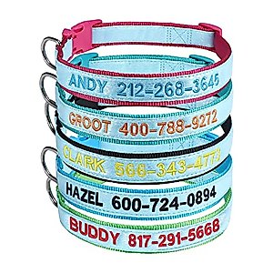 Wlitchi Personalized Reflective Dog Collars, Custom Glowing Luminous ID Collar Embroidered Name and Phone Number 4 Adjustable Sizes X-Small Small Medium Large for Boy and Girl Dogs (Fluorescent Glow)