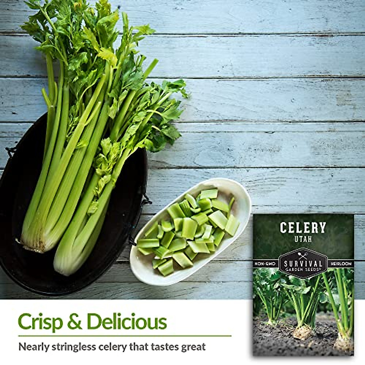 Survival Garden Seeds - Utah Celery Seed for Planting - Packet with Instructions to Plant and Grow Delicious Celery Plants in Your Home Vegetable Garden - Tender and Crisp Non-GMO Heirloom Variety