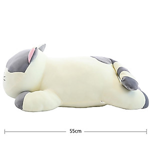 Cat Big Plush Hugging Pillow, Super Soft Kitten Kitty Stuffed Animals Toy Gifts for Kids, Girls, Bed, Christmas, Valentine 21.7" (Gray)