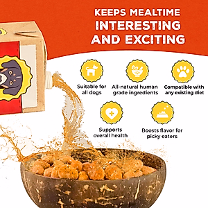 Brutus Bone Broth for Dogs | All Natural | Made in USA | Glucosamine & Chondroitin for Healthy Joints | Human Grade Ingredients | Hydrating Dog Food Topper, Gravy & Treat (Pork, 2-Pack)