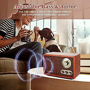 LoopTone USB SD Multifunction AM FM Vintage Radio with Bluetooth Speaker,Retro Wood Table Radio for Kitchen Living Room with Rotary Knob