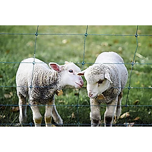 Pinenjoy 17Pcs 1.57inch Small Brass Bell Copper Grazing Bells Farm Animal Loud Bronze Bell Long Distancec Cow Horse Goat Dog Cattle Sheep Anti-Theft Collar Metal Accessories