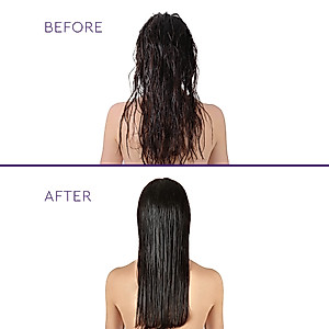 SUTRA Professional Moroccan Shampoo - Moisturizing Shampoo for Dry and Color Treated Hair, Paraben Free, Jojoba and Vitamin E Oil, 5.9 Fl Oz