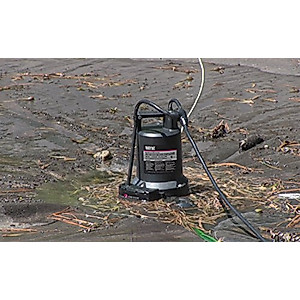 Wayne 57729-WYNP WAPC250 Pool Cover Pump, Blue & Flexzilla Garden Hose 5/8 in. x 25 ft, Heavy Duty, Lightweight, Drinking Water Safe, ZillaGreen - HFZG525YW-E