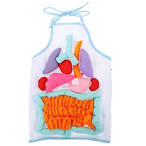 NUOBESTY 3D Apron Anatomy Apron Human Body Organs Awareness Educational Tool for Home Preschool Teaching Aid 64cm Educational