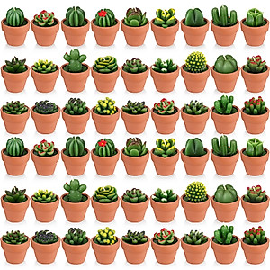 Lounsweer 60 Pcs Succulent Candles Bulk Decorative Cactus Tealight Candle Novelty Tea Lights Handmade Baby Shower Candle Decoration Plant Candle with Mini Terracotta Clay Candle Holders for Wedding