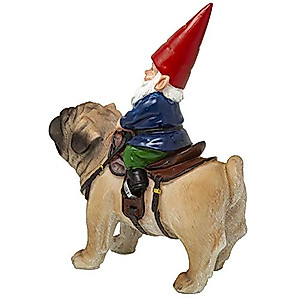 Funny Guy Mugs Garden Gnome Statue - Gnome Riding a Pug - Indoor/Outdoor Garden Gnome Sculpture for Patio, Yard or Lawn
