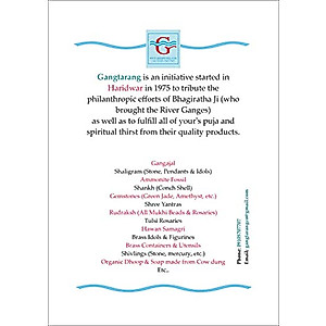 GangTarang Shaligram Silver Ring | Nepal Gandaki River Chakra Saligram (Shaligram Ring; Size-16)