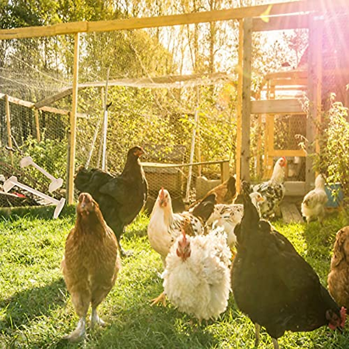 SALUTUYA Chicken Perch, Wooden Large Bird Support Frame Bird Cage Play Stand Toy Set Birdcage Wood Stands Hanging Chew Toys Ladder Swing