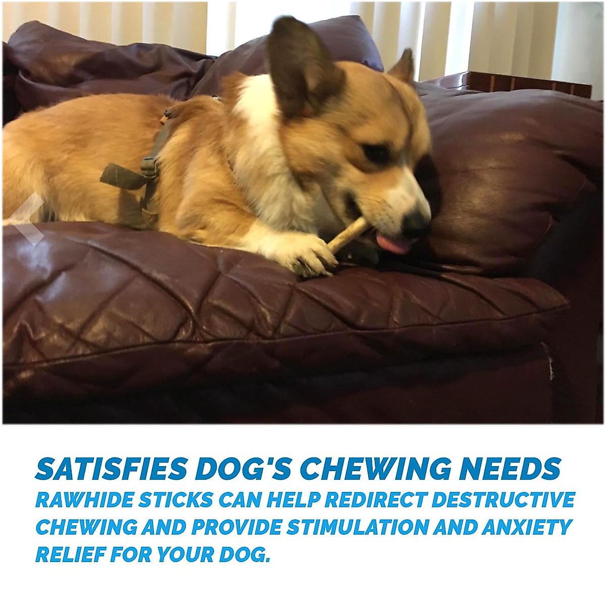 123 Treats Rawhide Skinny Rolls – 5-6" (15 Count) All Natural Dog Roll Treats, Long-Lasting Rawhide Dog Chews, Premium Dog Treats for Healthy Meal | Ideal Sticks for Dogs