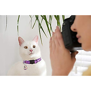 Hinialver 4 PCS Cat Collars with Bell Breakaway Gold Moons and Stars Adjustable Safety Kitten Collars with Charm Glow in The Dark