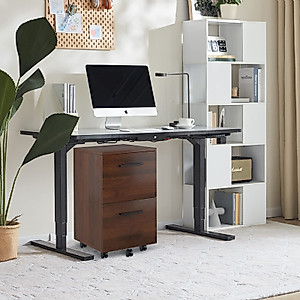 VICLLAX 2 Drawer Mobile File Cabinet, Vertical Filing Cabinet with 5 Wheels Fits Legal/Letter/A4 File Size for Home Office,Walnut