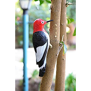 Woodpecker Tree Ornament Decoy Plastic & Metal Decorative Deterrent & Repeller- Easy to Mount-House, Tree or Gift 9" Tall