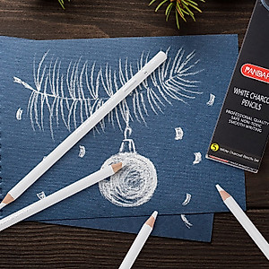 PANDAFLY White Charcoal Pencils Drawing Set, Professional 5 Pieces Sketch Highlight White Pencils for Drawing, Sketching, Shading, Blending, White Chalk Pencils for Beginners & Artists