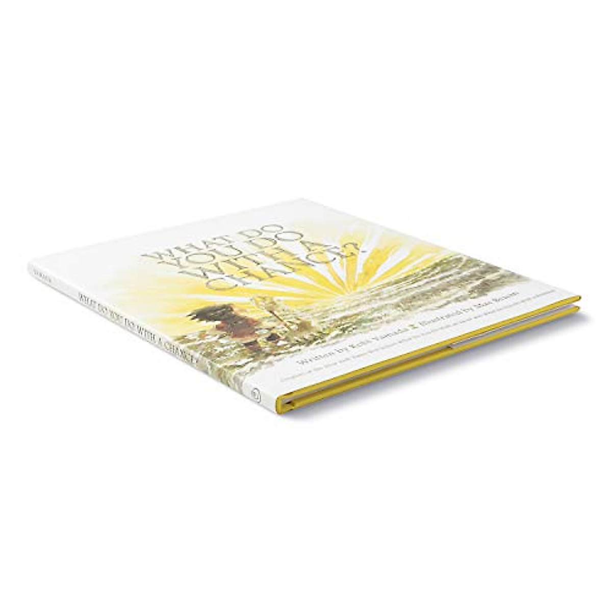 What Do You Do With a Chance? — New York Times best seller