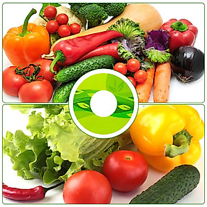 Jetec 100 Pieces Seed Pot Labels PVC Grow Baskets Stick Hydroponic Plant Label for Seedlings Seed Sticks for Understanding Plant Growth