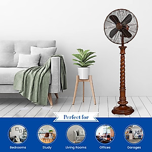 DecoBREEZE DBF0426 Pedestal Standing Floor Fan, 16-Inch, Raleigh
