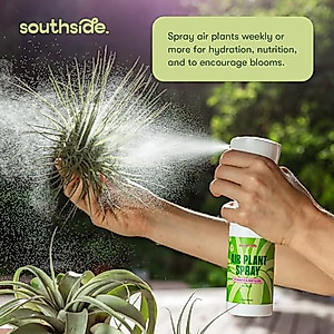 Air Plant Fertilizing Spray by Southside Plants - Fertilizer Mist for Houseplants, Weekly Plant Food - Gentle Mist Formula for Miracle Feed & Grow - 7.3 oz