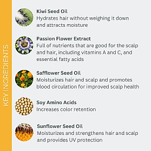 EVOLVh - Natural SmartColor Protecting Conditioner | Vegan, Non-Toxic, Clean Hair Care (8.5 fl oz | 250 mL) NEW PACKAGING