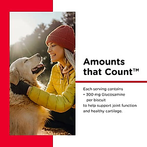 Nutri-Vet Hip & Joint Biscuits for Dogs - Tasty Dog Glucosamine Treat & Dog Joint Supplement - Large Sized Biscuit with 300mg Glucosamine - 6 lb