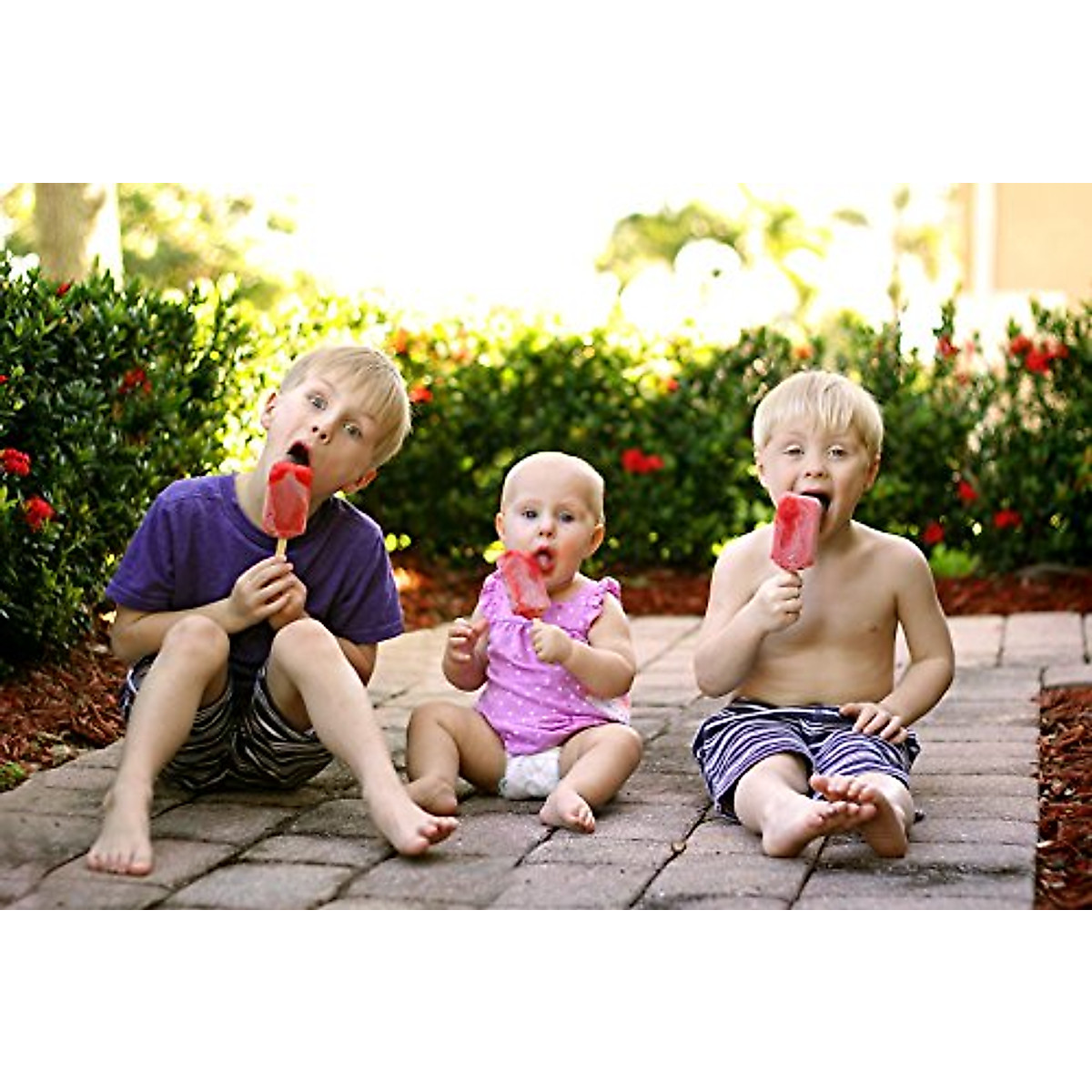 Ecozoi Stainless Steel Popsicle Molds and Rack - 6 Square Ice Pop Makers + 30 Reusable Bamboo Sticks + 12 Silicone Seals + 1 Cleaning Brush +1 Rack